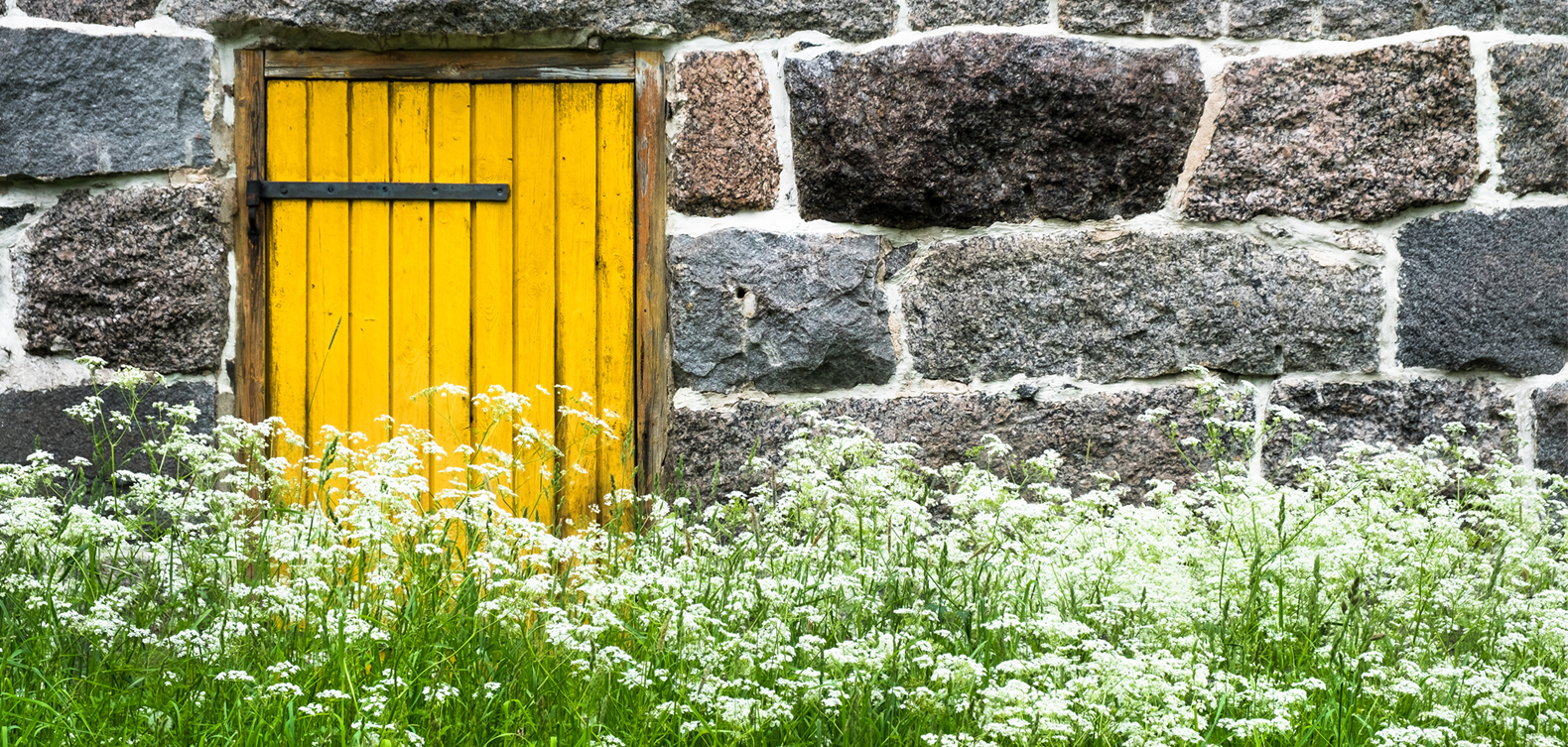 Nancy Coco Coaching – Changing the World from the Inside Out