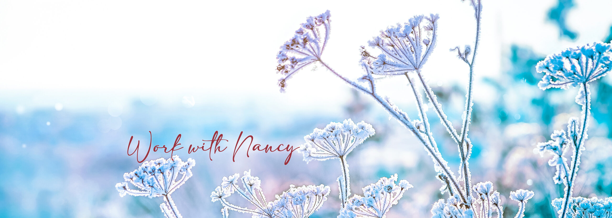 Services – Nancy Coco Coaching